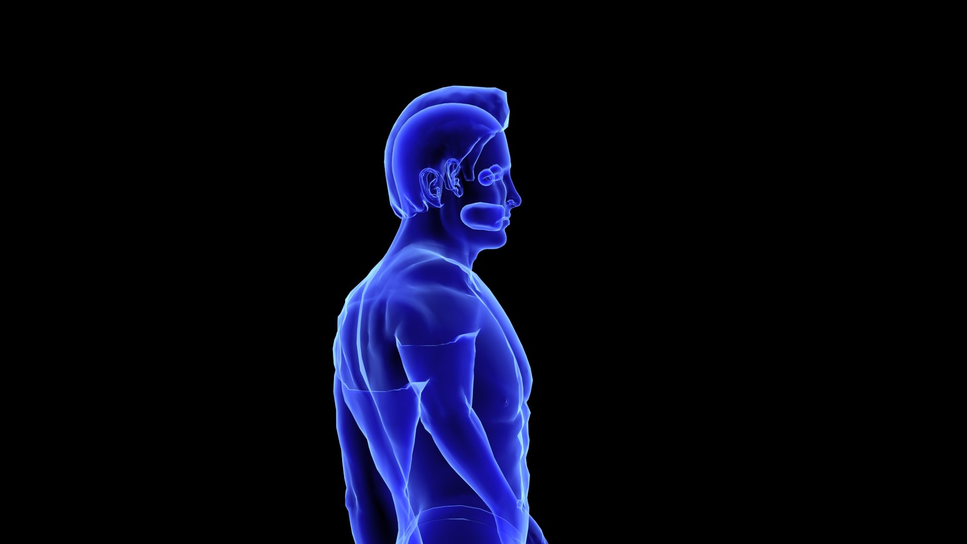 Human Male Body Blue Transparent Shaded Model 3D Model - TurboSquid 2230895