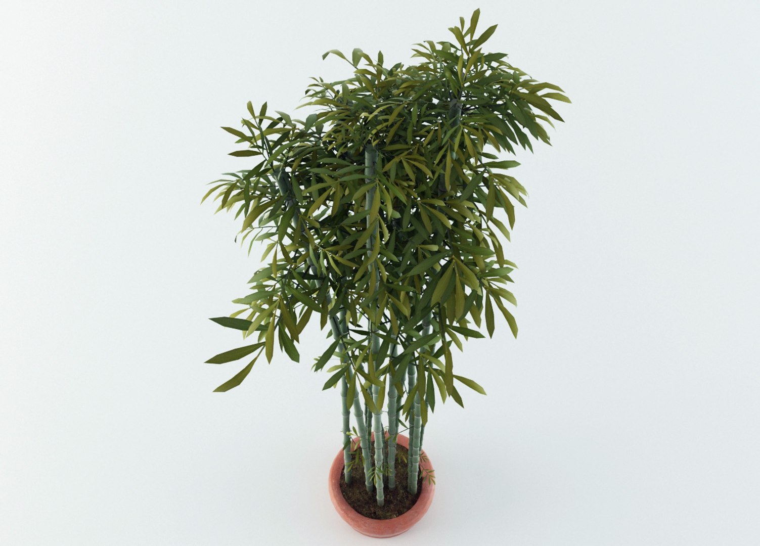 Bamboo Bush 3d Model
