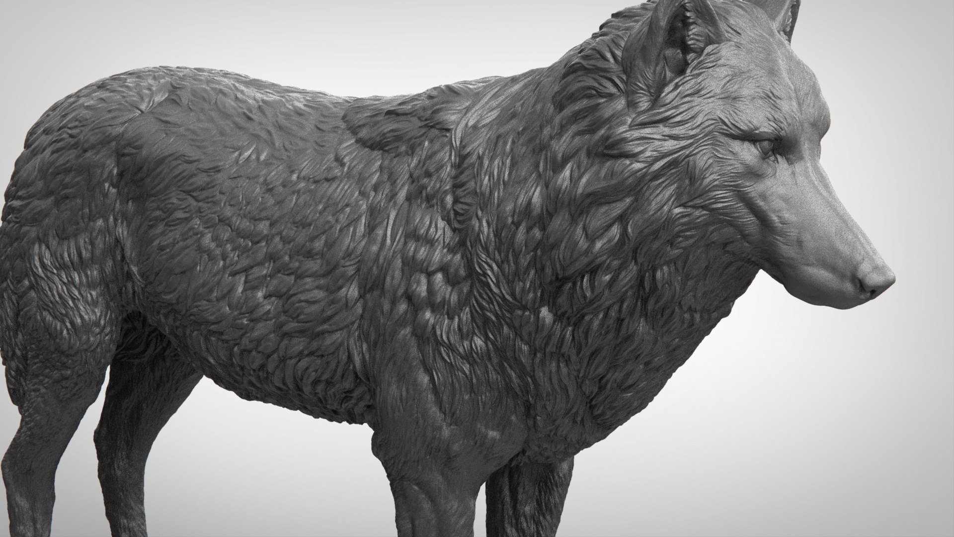 Wolf 3D Model - TurboSquid 1250838