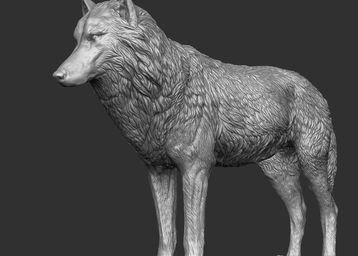 Wolf 3D Model - TurboSquid 1250838