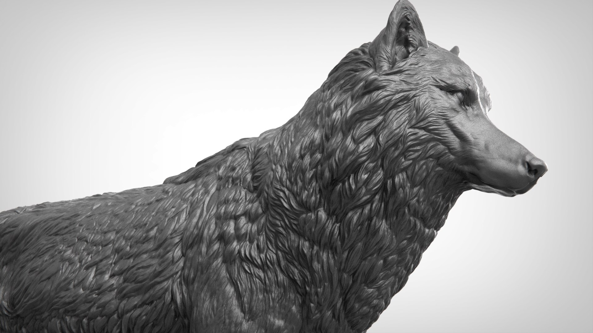 Wolf 3D Model - TurboSquid 1250838
