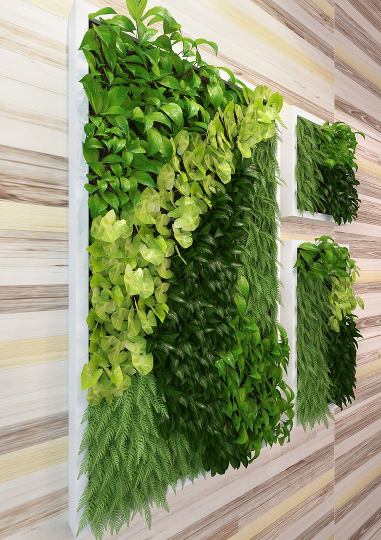 3D Green Wall Model - TurboSquid 1212900
