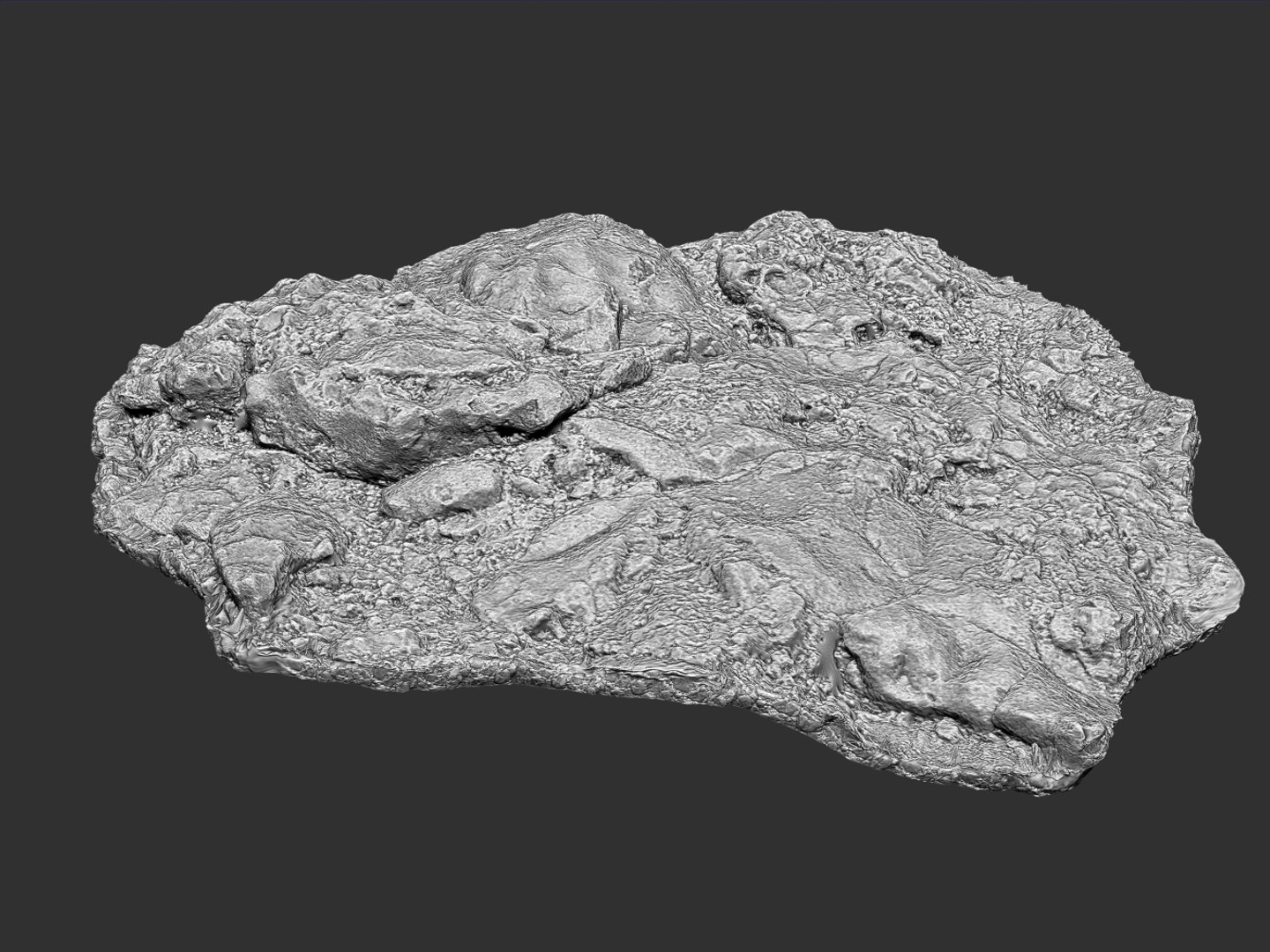 3d Model Coral Reef Scan Hd