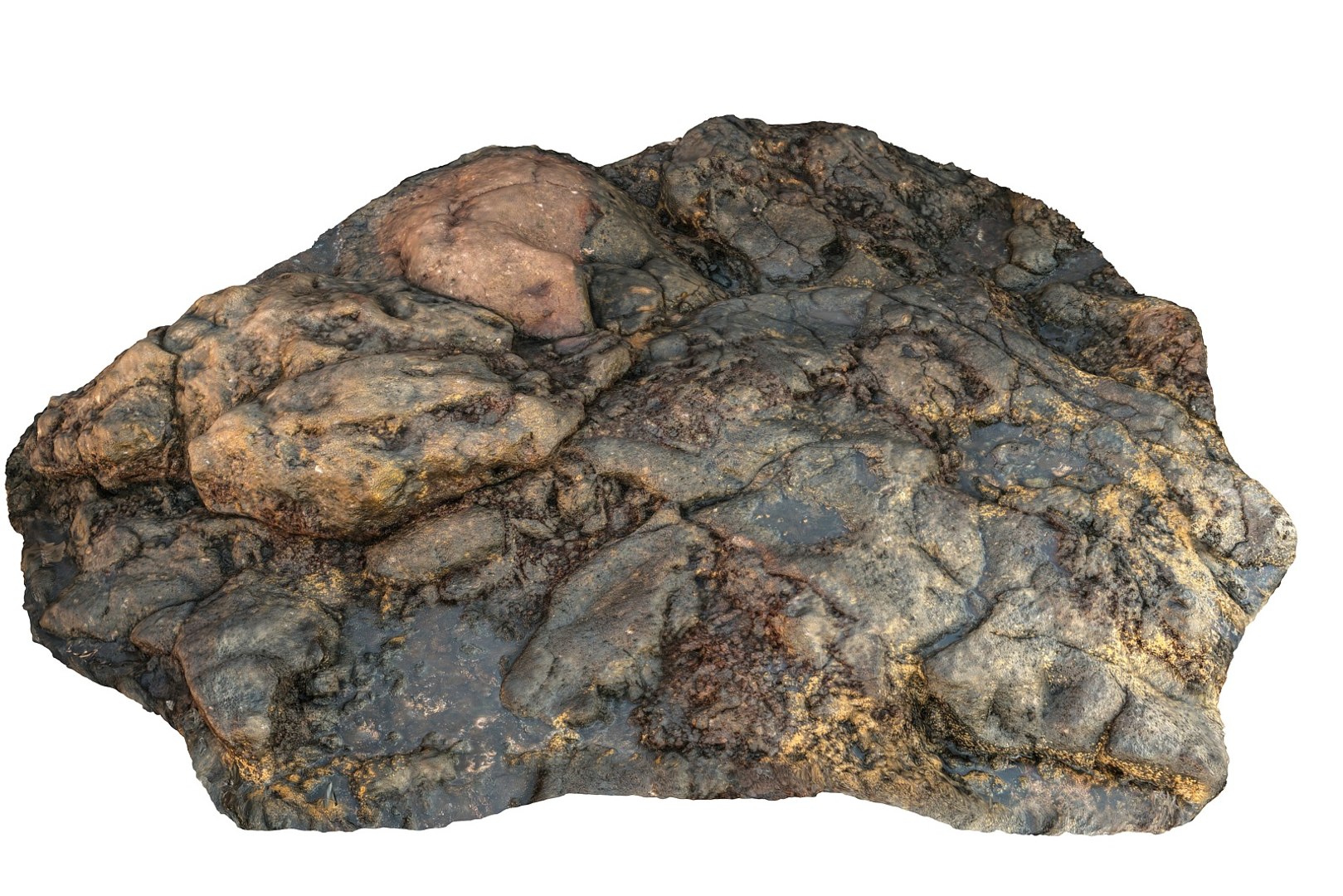 3d Model Coral Reef Scan Hd