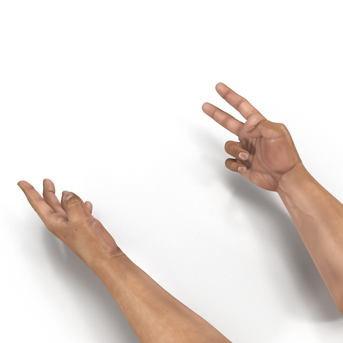 3d man hands rigged model