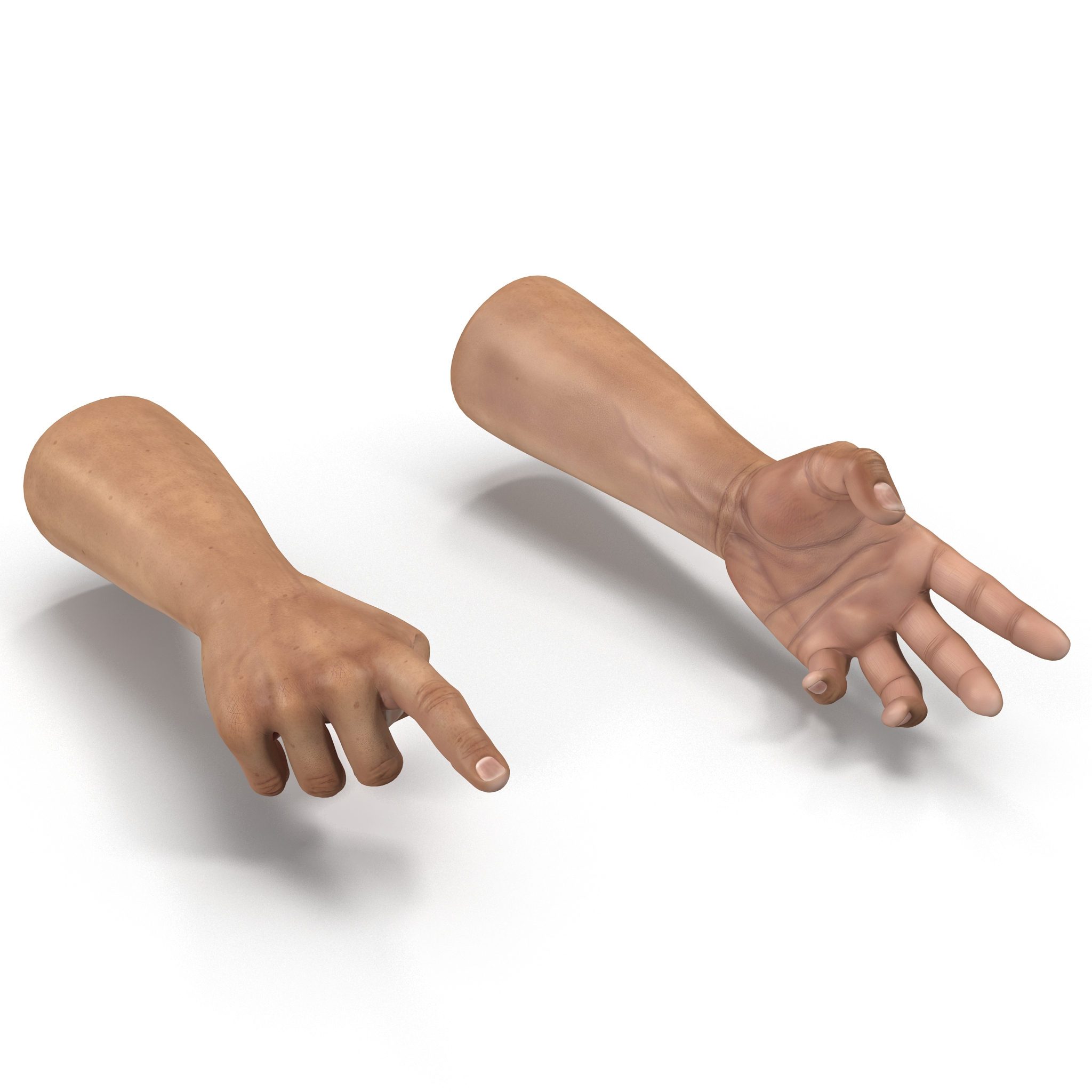 3d man hands rigged model