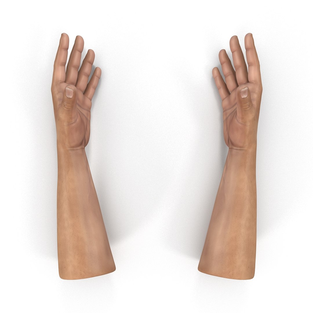 3d man hands rigged model