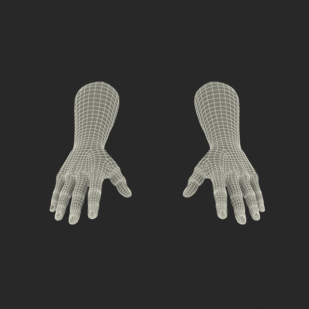 3d man hands rigged model