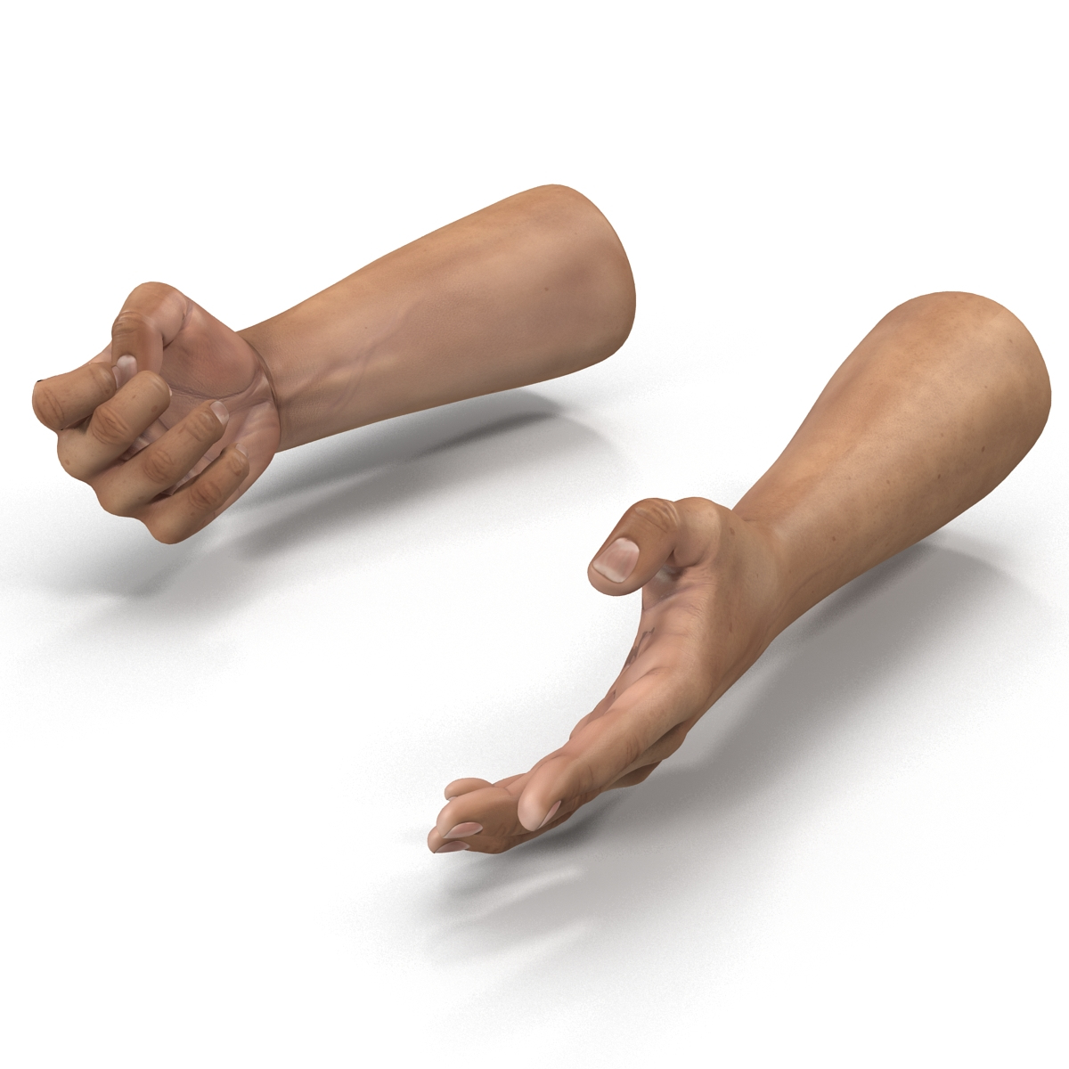 3d man hands rigged model