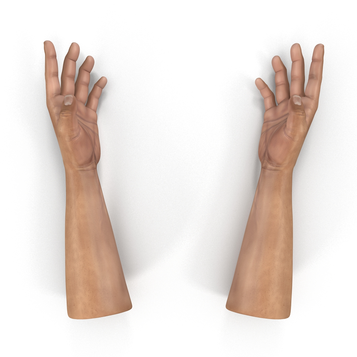 3d man hands rigged model