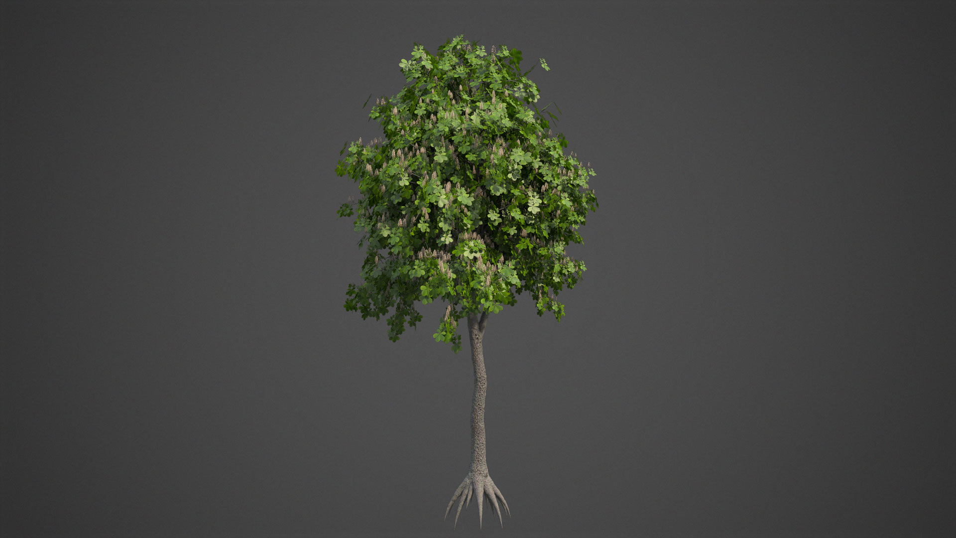 3D tree - TurboSquid 1675180
