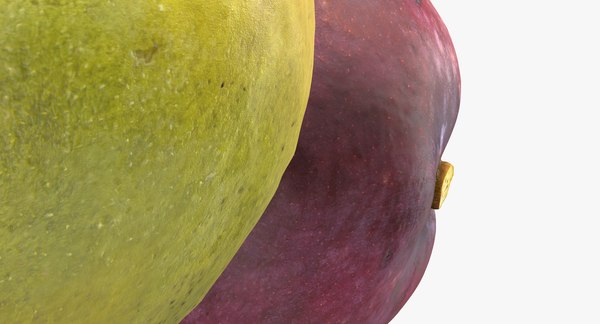 Mango fruits set 3D model - TurboSquid 1157664