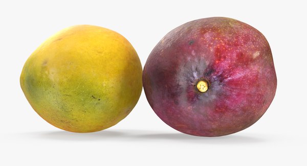 Mango fruits set 3D model - TurboSquid 1157664