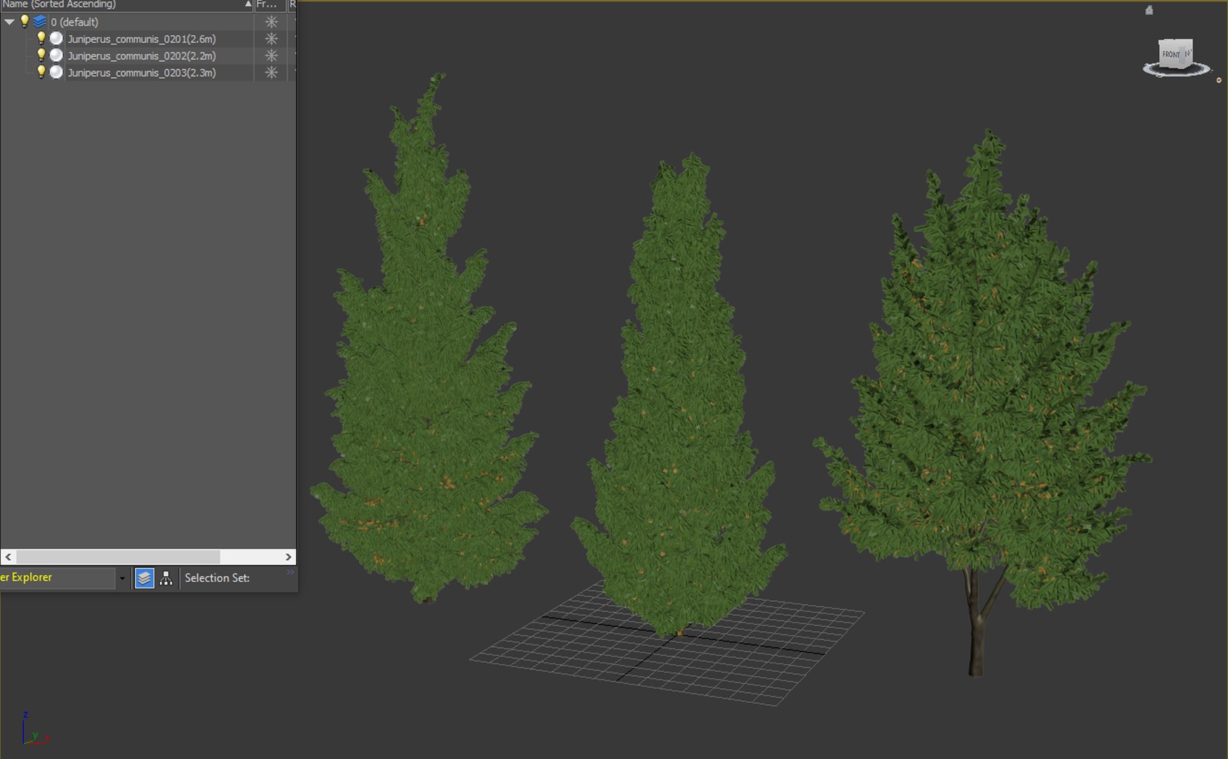 3D Juniper Juniperus - TurboSquid 1673361