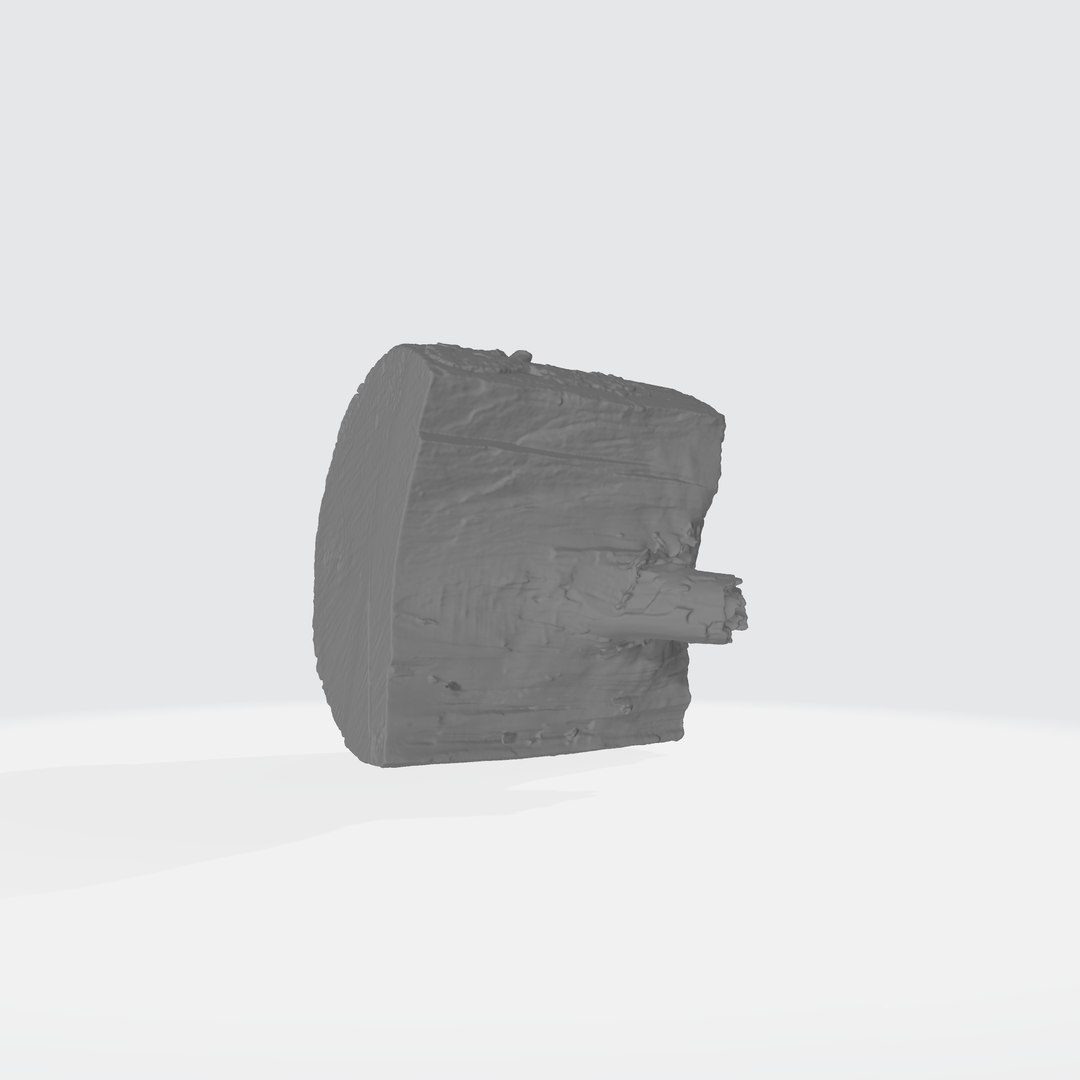3D Trunk 1 Model - TurboSquid 2239555