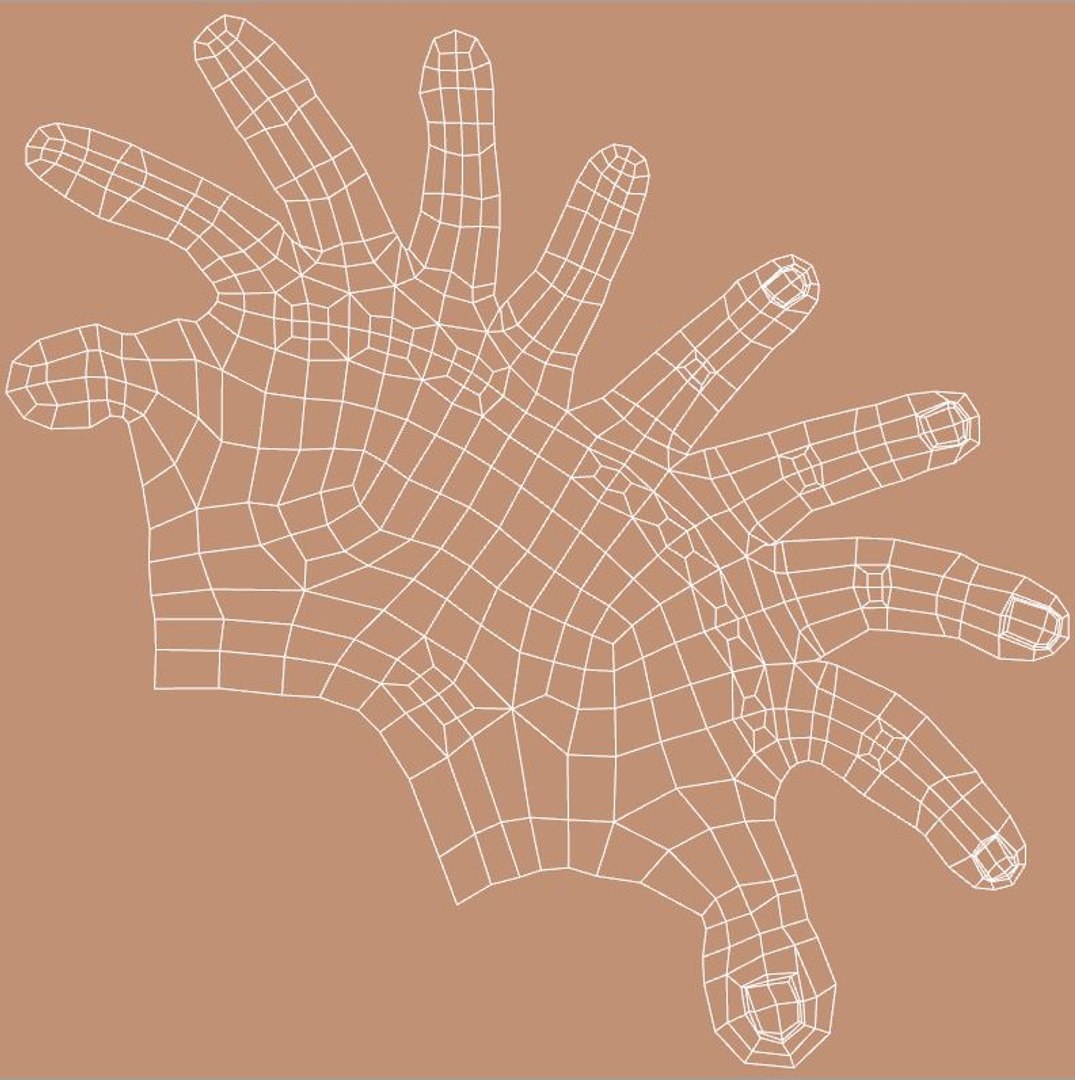 3d Hand Base Unwraped Model