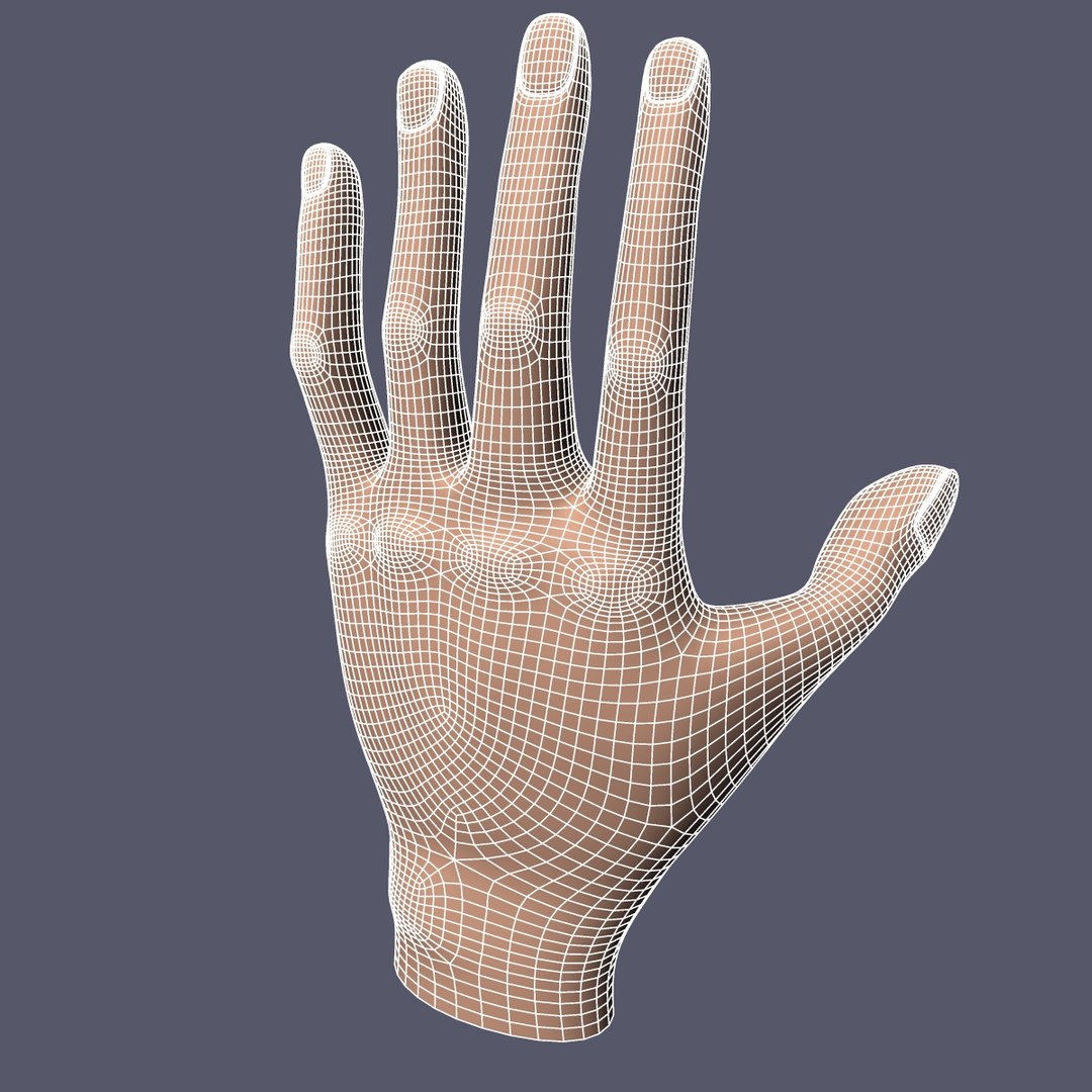 3d Hand Base Unwraped Model