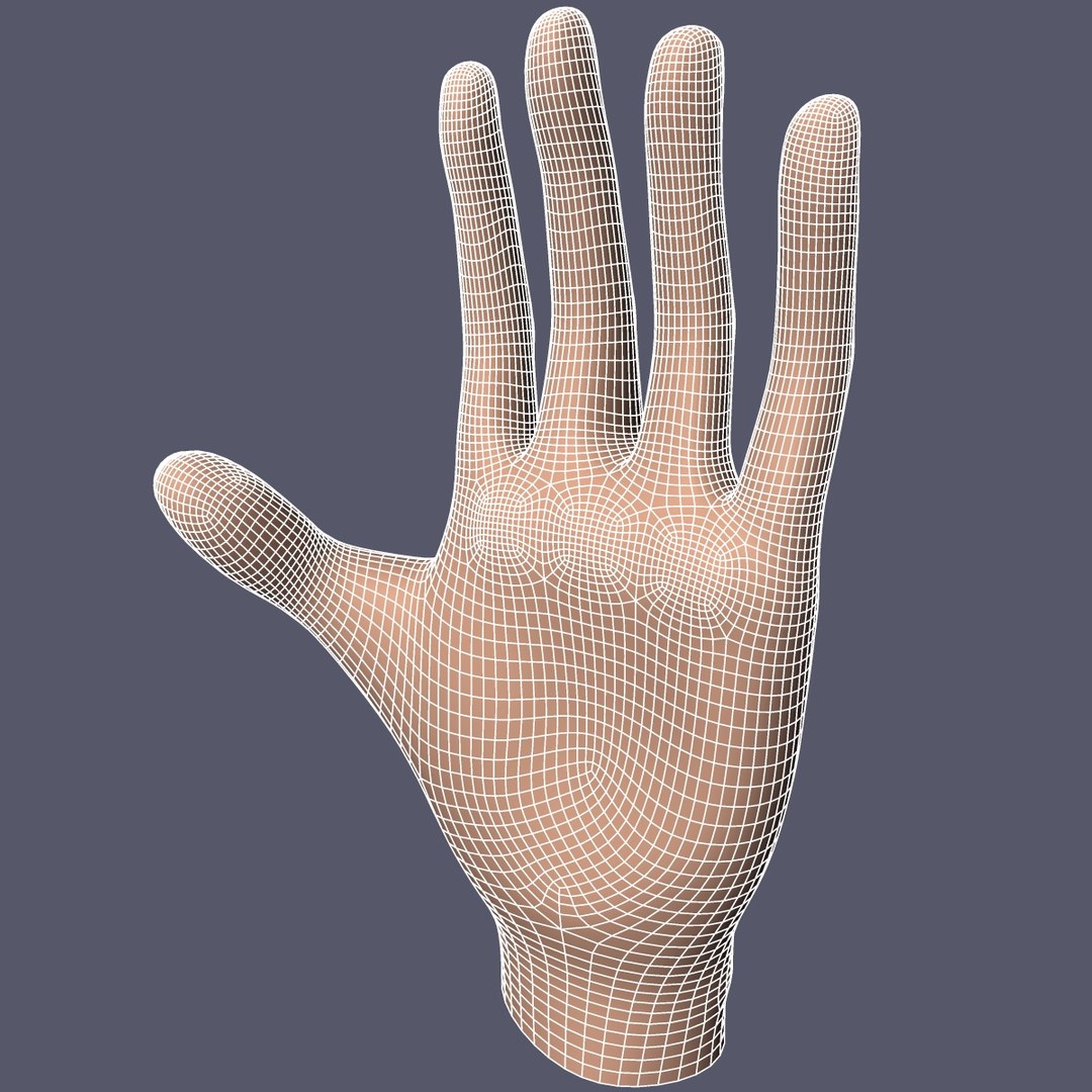 3d Hand Base Unwraped Model