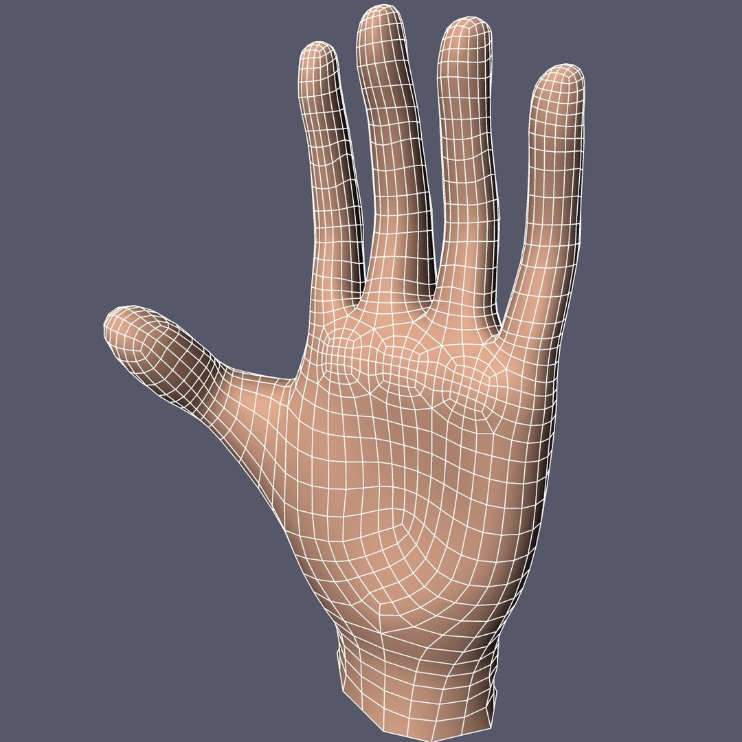 3d Hand Base Unwraped Model