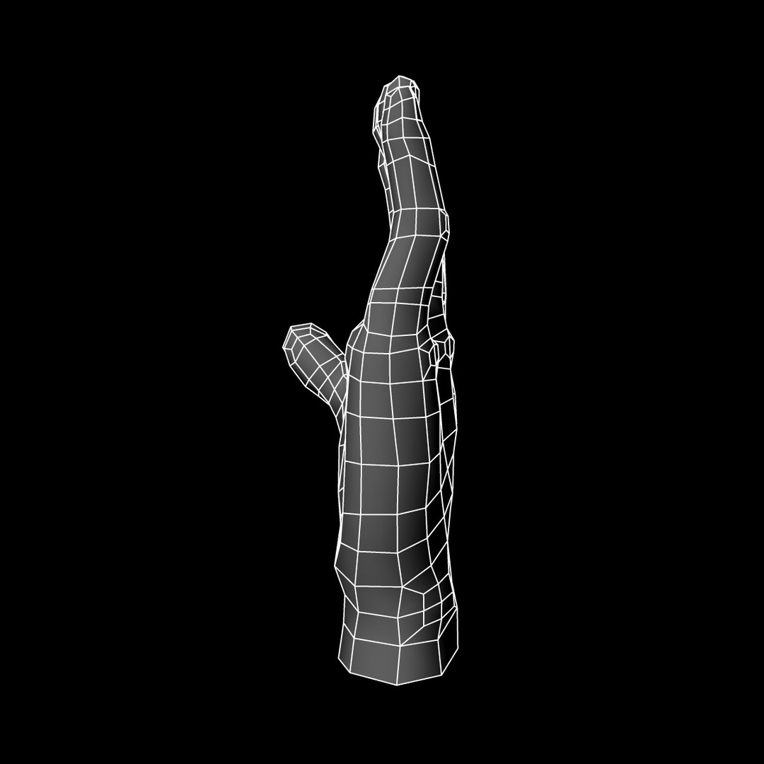 3d Hand Base Unwraped Model