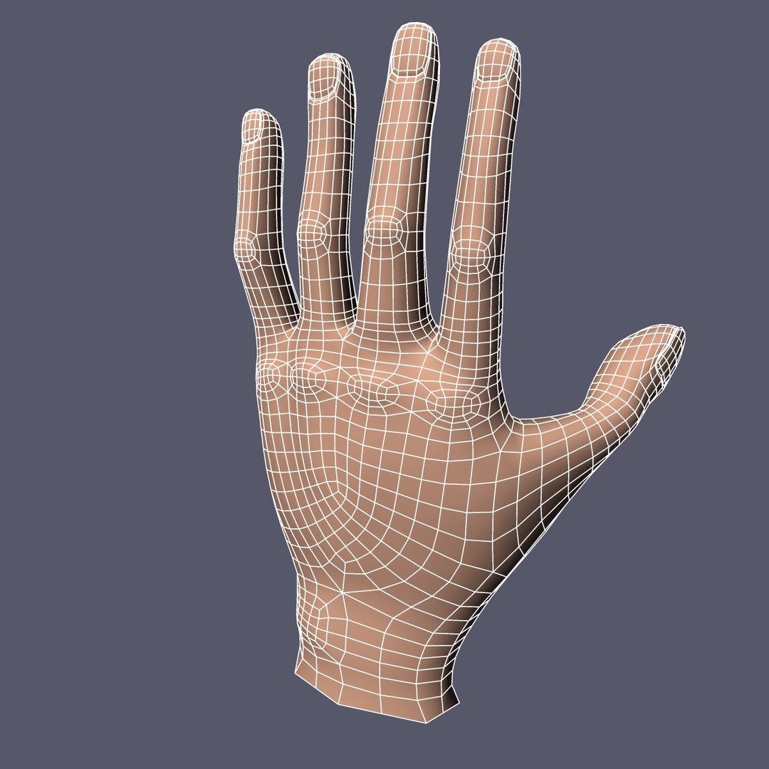 3d Hand Base Unwraped Model