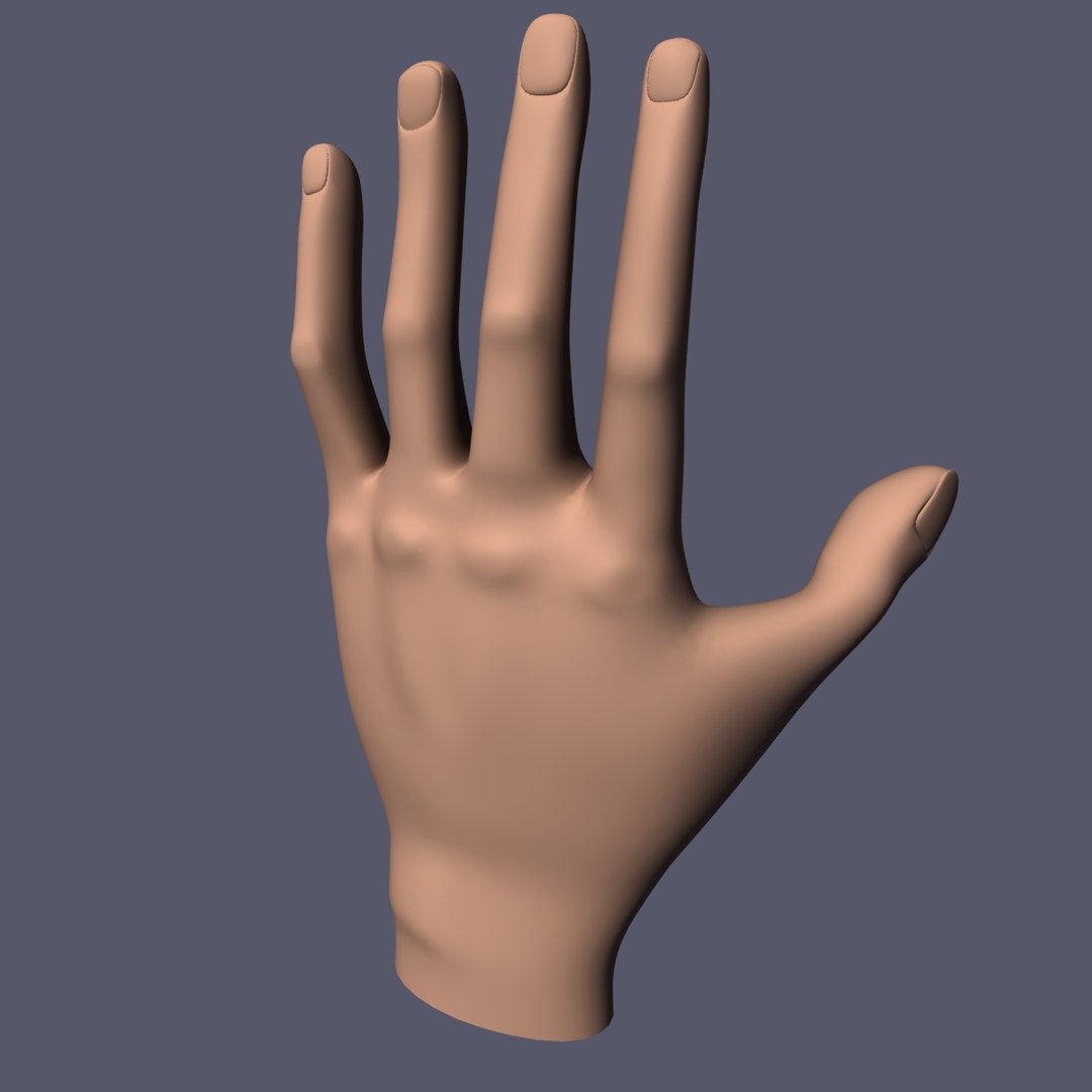 3d Hand Base Unwraped Model