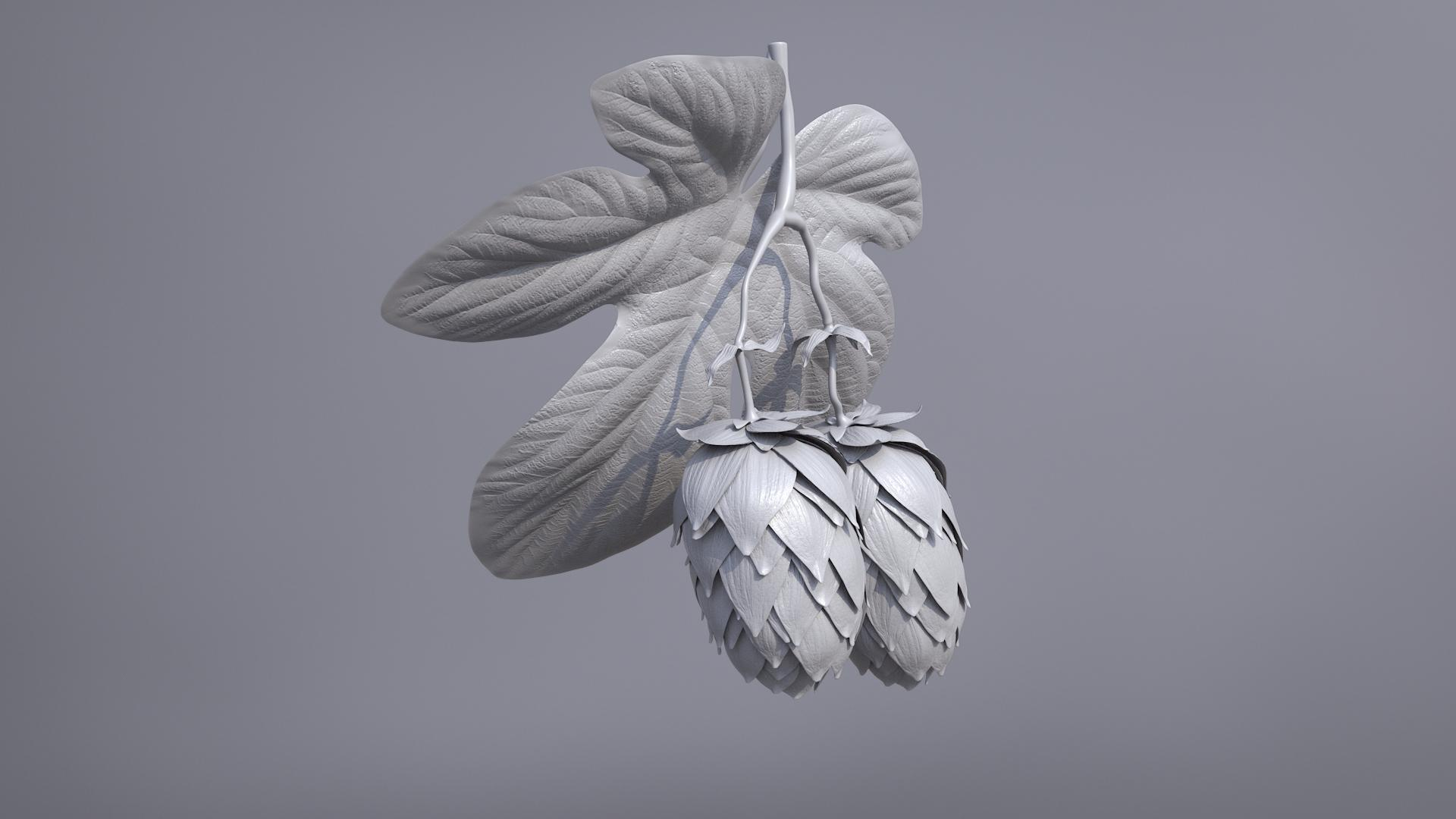 3D model hops real bract - TurboSquid 1530564