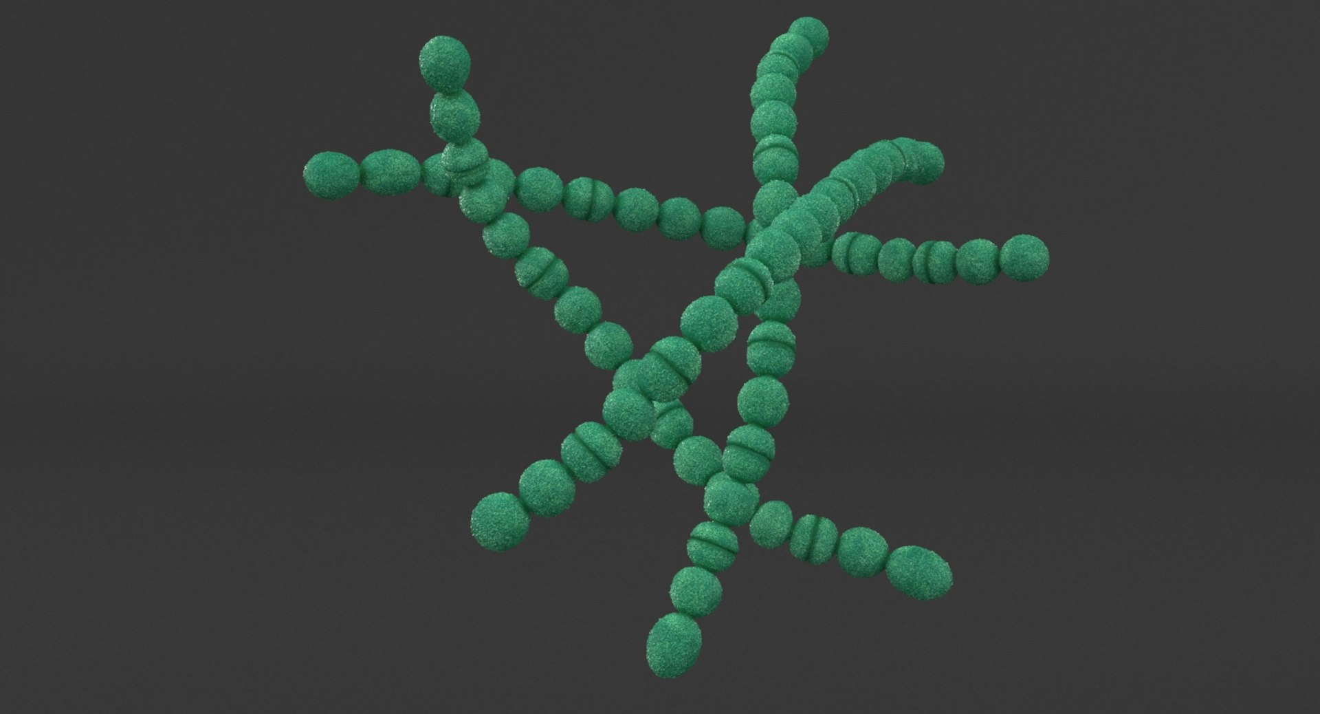 3D Streptococcus Pyogenes Bacteria - TurboSquid 1303610