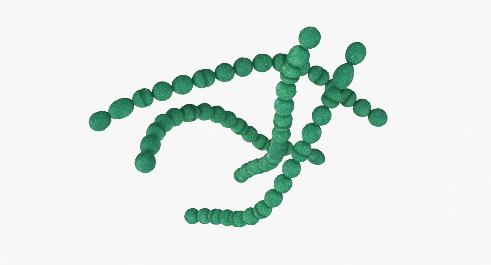 3D Streptococcus Pyogenes Bacteria - TurboSquid 1303610