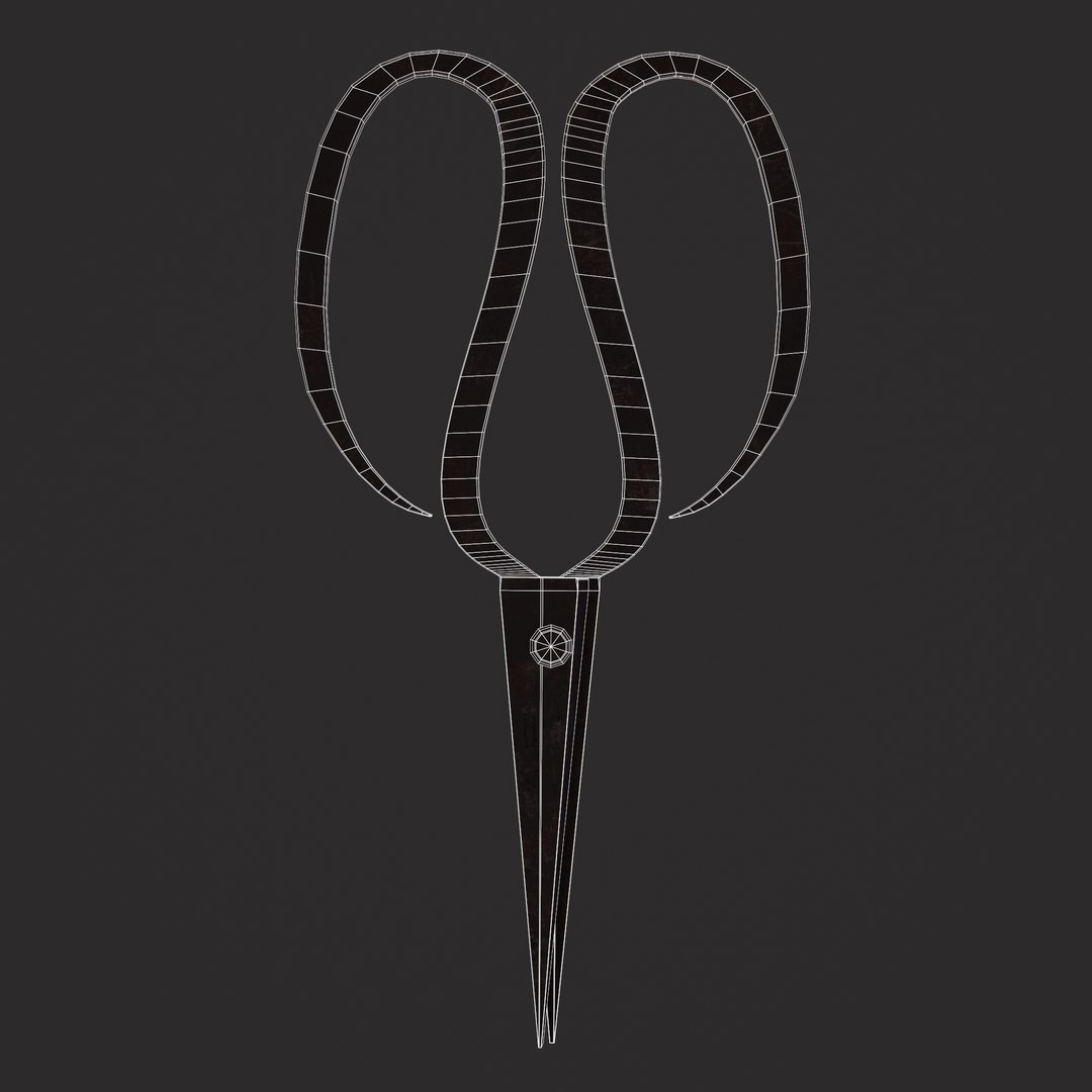 3D Medieval Leather Shears Model - TurboSquid 1872606