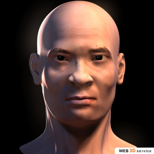 3dsmax male head