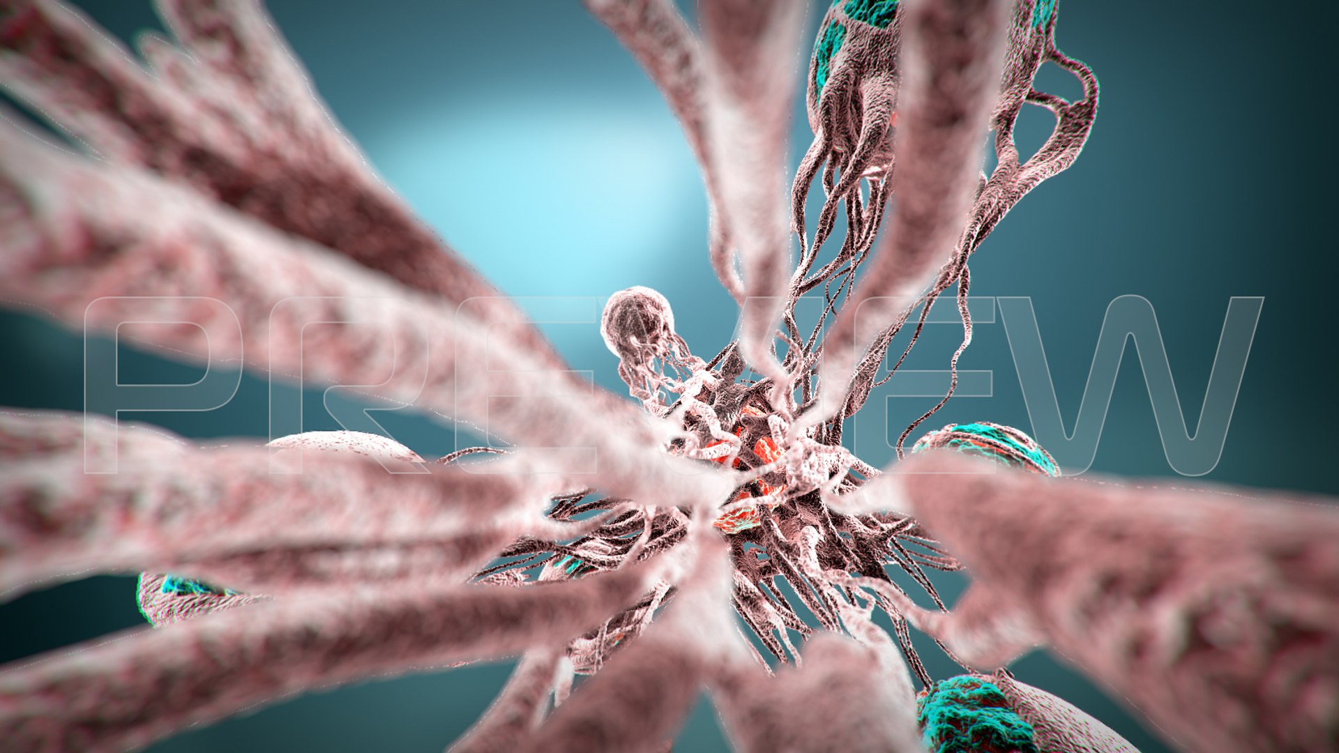 Cancer Cells 3D Model - TurboSquid 1166248