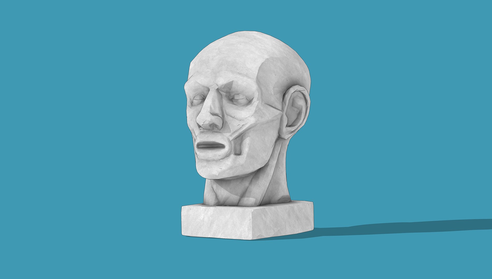 Plaster Head Bust 3D Model - TurboSquid 2485639