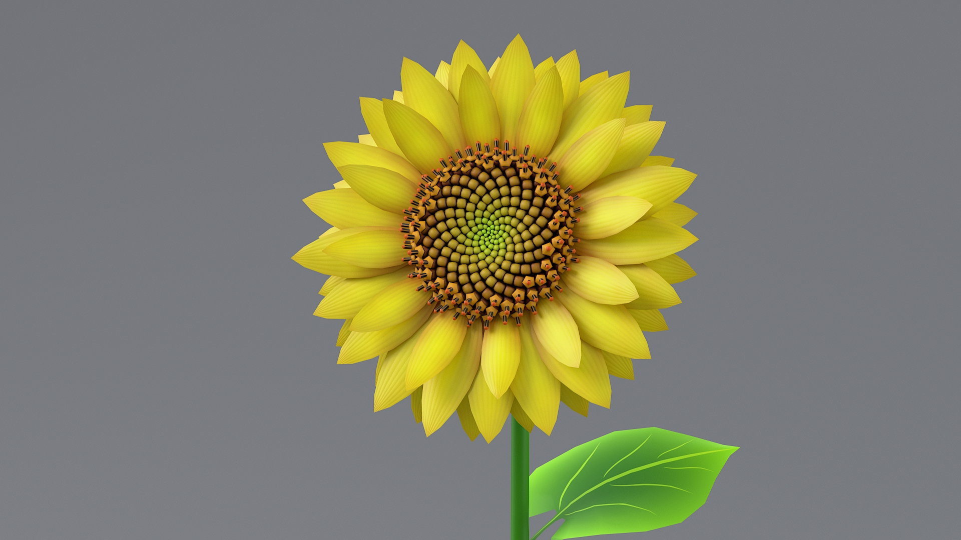 Cartoon Sunflower 01 3D Model - TurboSquid 2049056