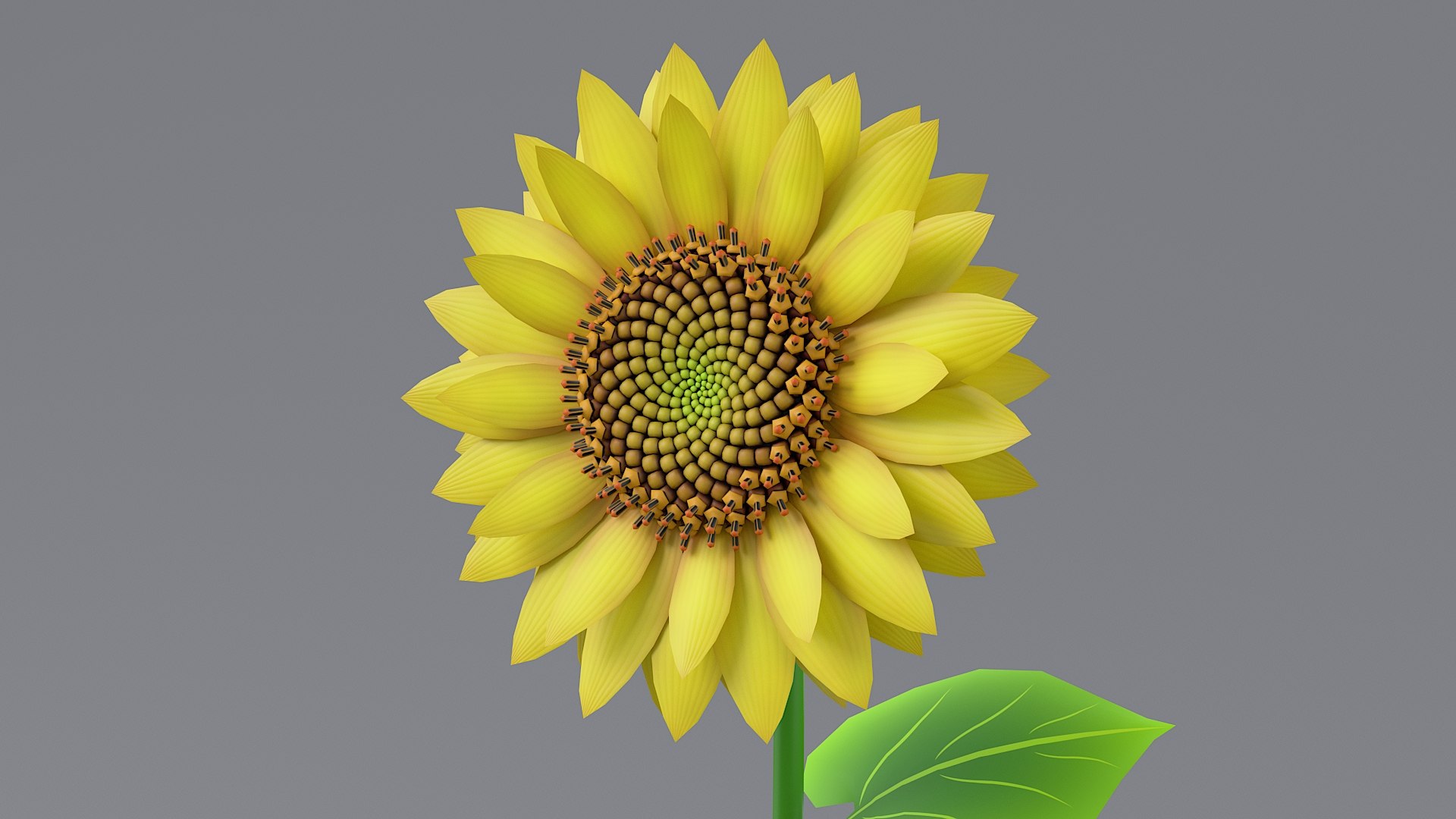 Cartoon Sunflower 01 3D Model - TurboSquid 2049056