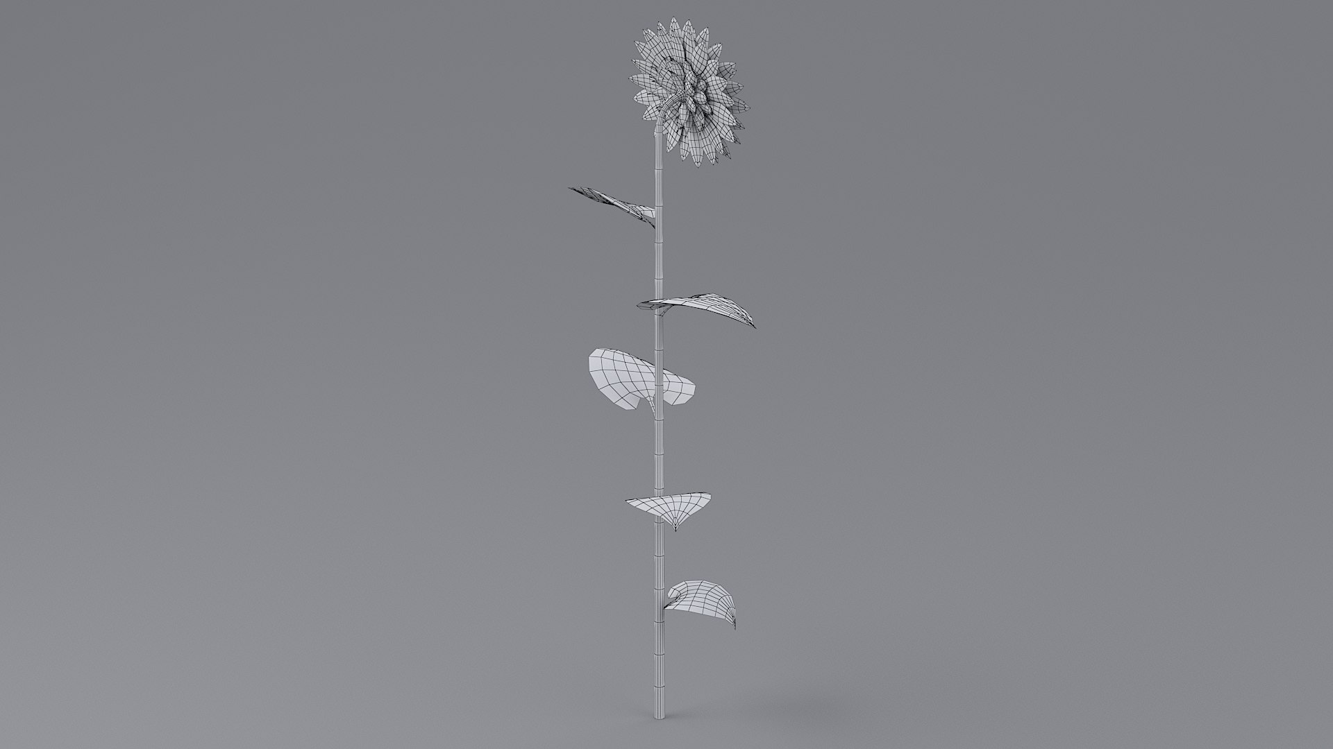 Cartoon Sunflower 01 3D model - TurboSquid 2049056