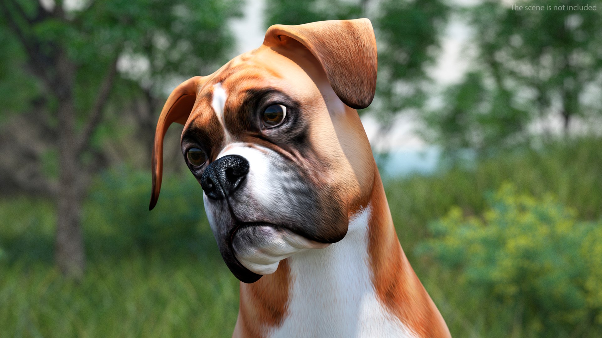 Boxer Dog Rigged For Maya 3D - TurboSquid 2259968