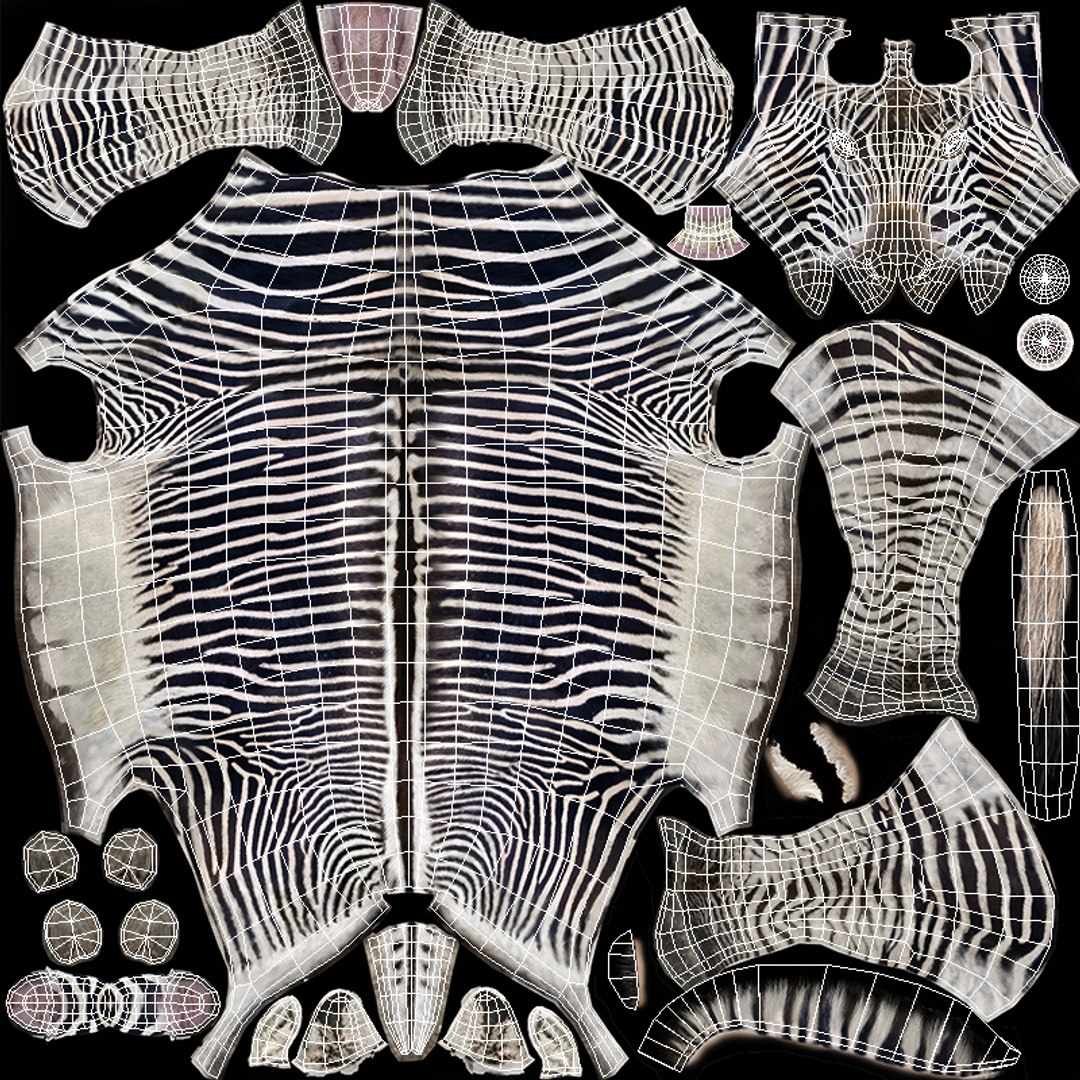 3D Zebra Animated - TurboSquid 2256363