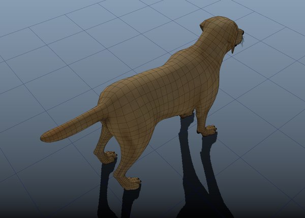 3D dog rig animations model - TurboSquid 1338034
