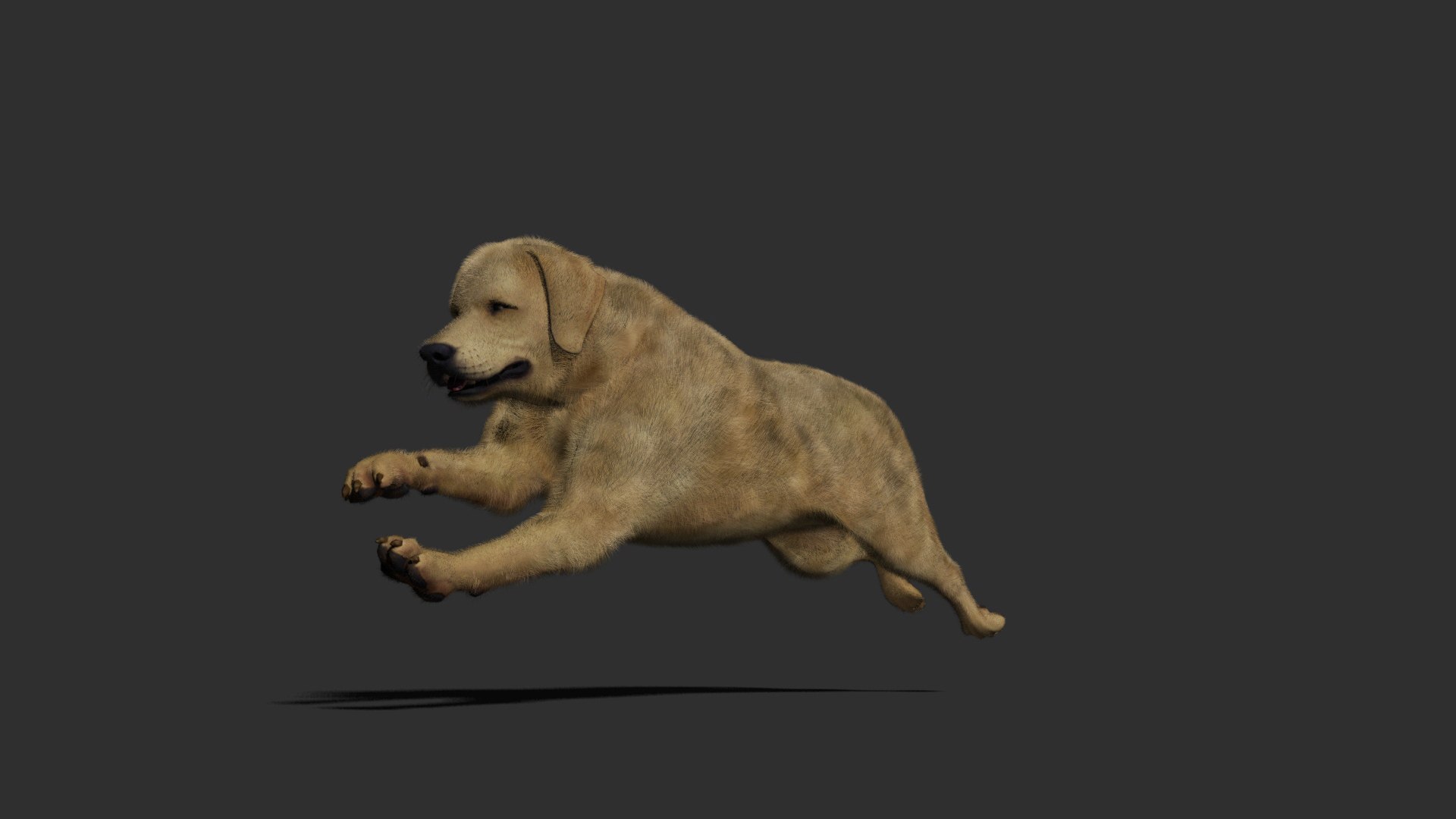 3D dog rig animations model - TurboSquid 1338034