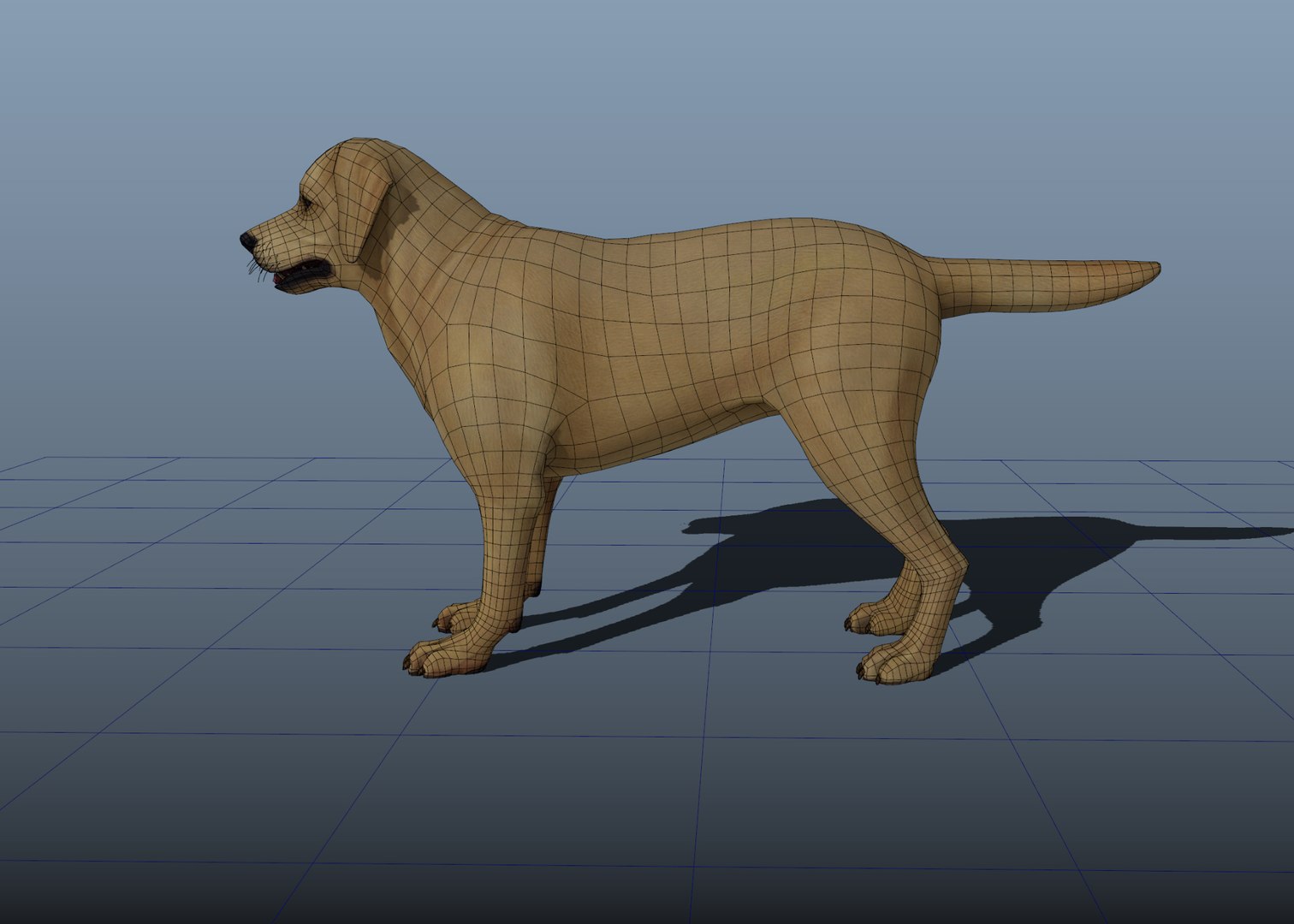 3D dog rig animations model - TurboSquid 1338034
