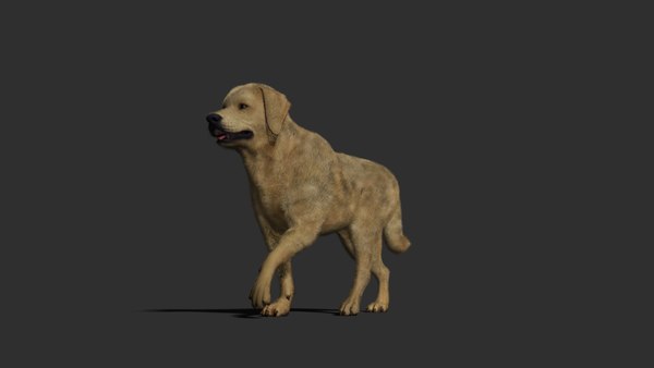3D dog rig animations model - TurboSquid 1338034