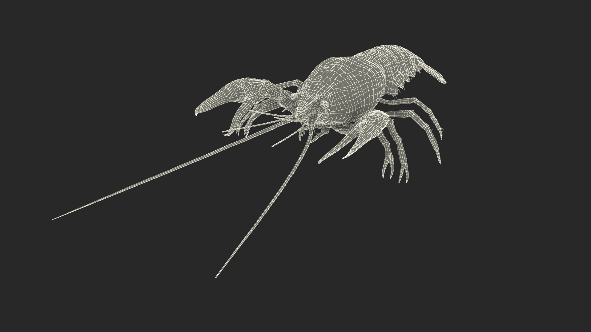 Crawfish Boiled Rigged 3D - TurboSquid 2163519