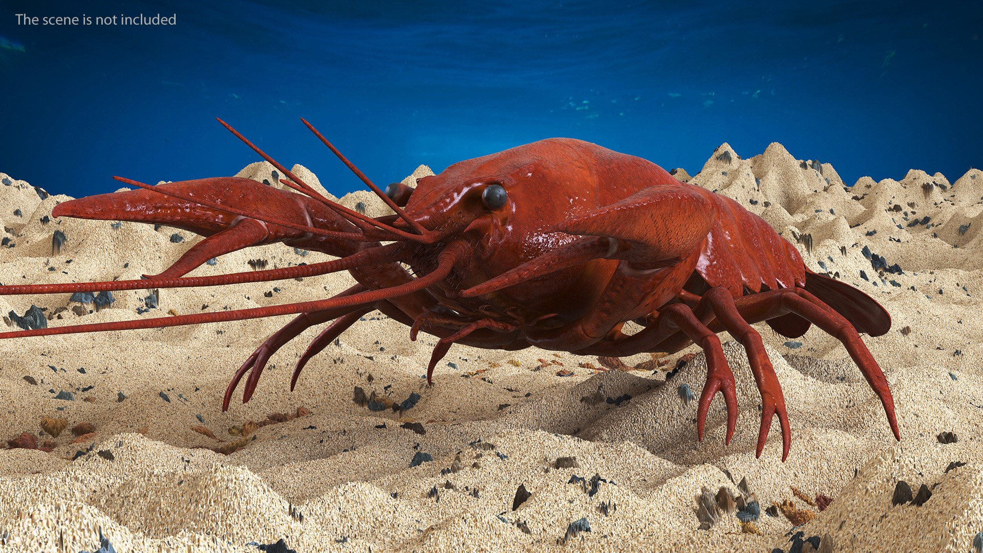 Crawfish Boiled Rigged 3D - TurboSquid 2163519