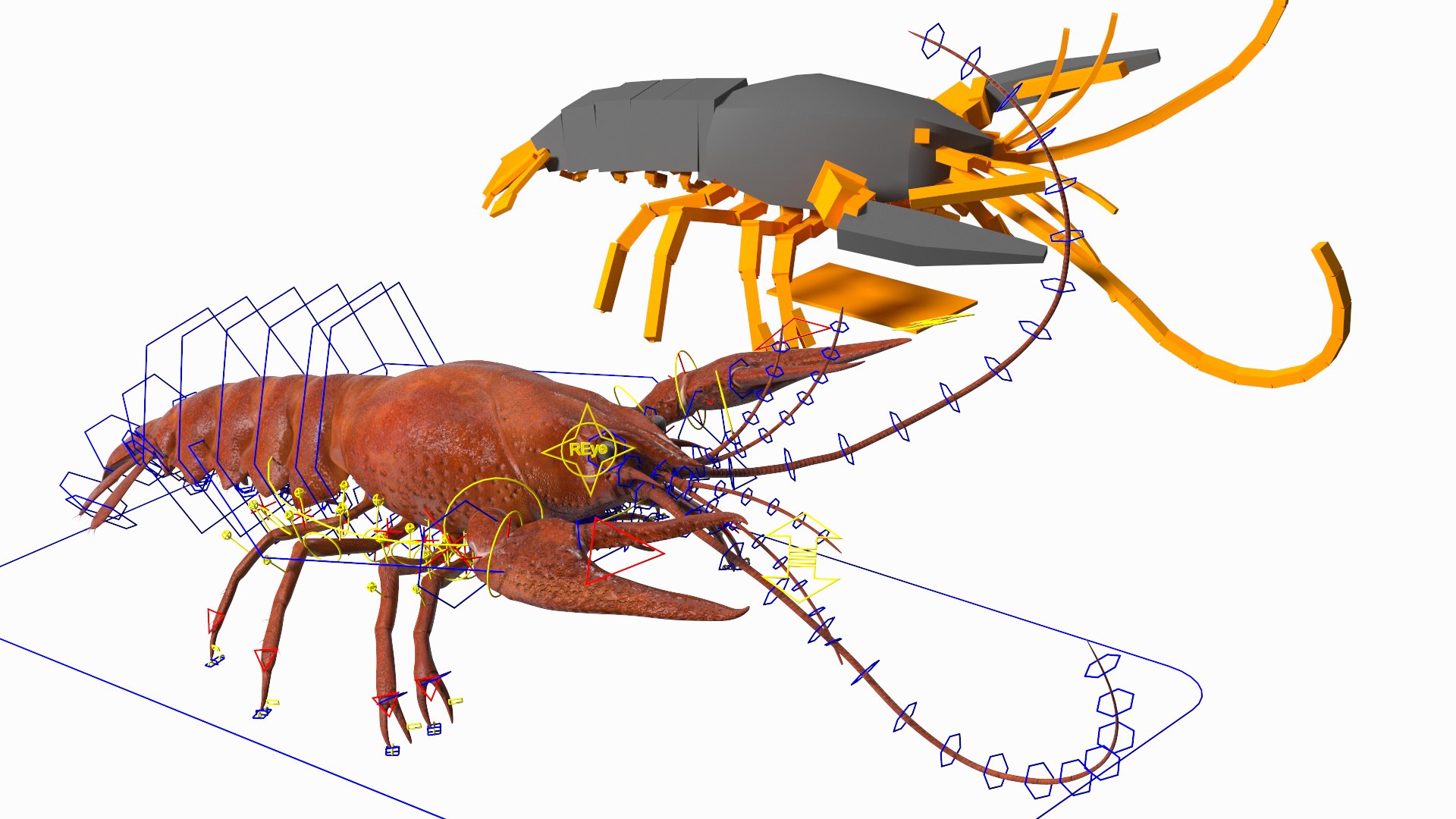 Crawfish Boiled Rigged 3D - TurboSquid 2163519