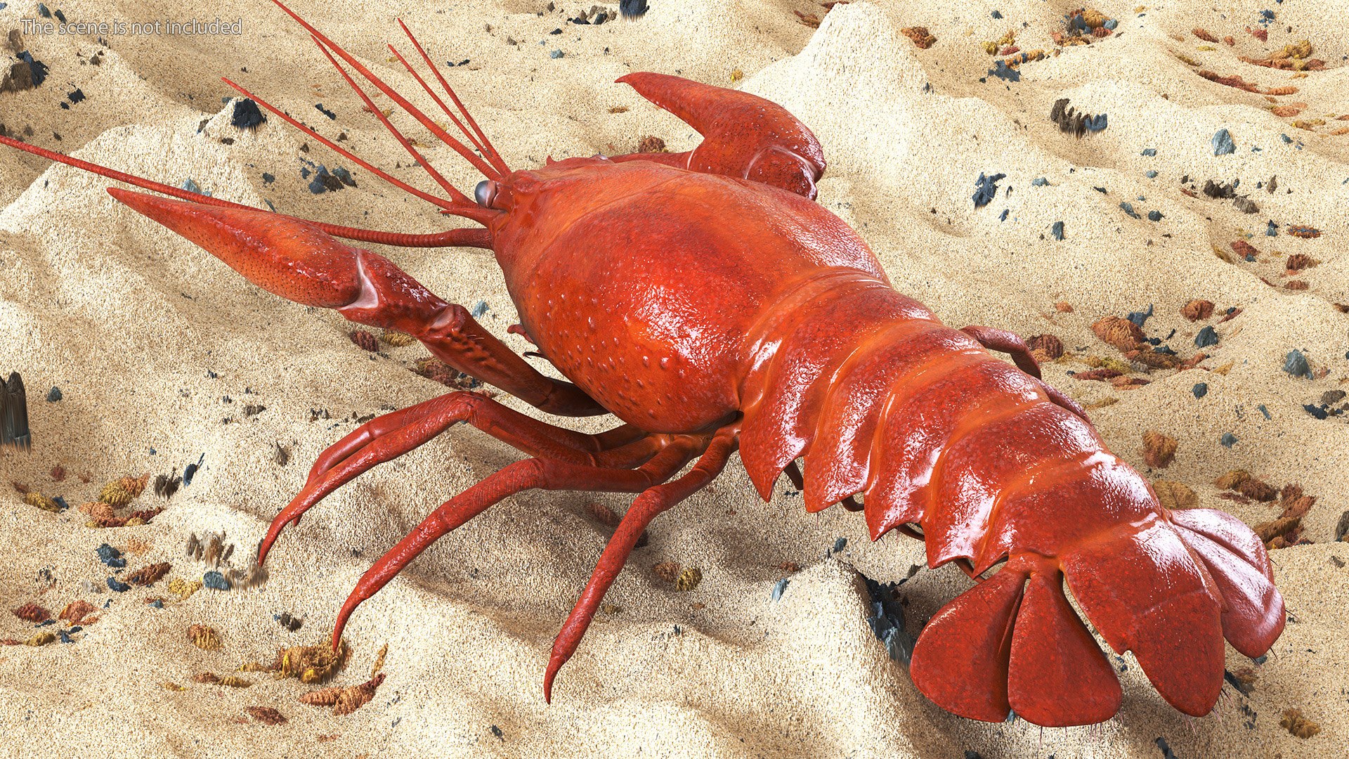 Crawfish Boiled Rigged 3D - TurboSquid 2163519