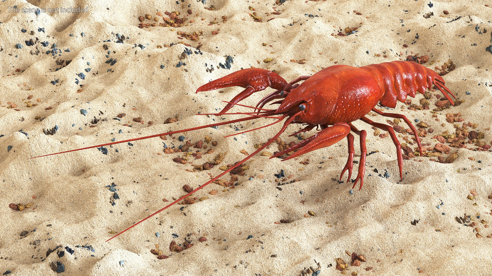 Crawfish Boiled Rigged 3D - TurboSquid 2163519