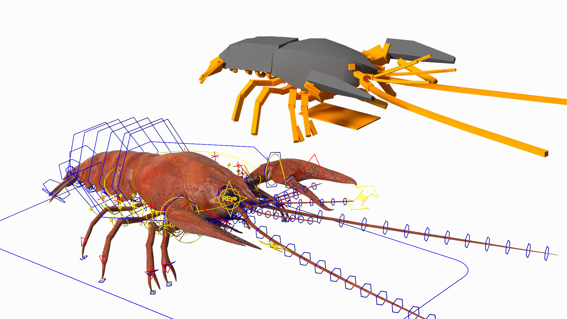 Crawfish Boiled Rigged 3D - TurboSquid 2163519