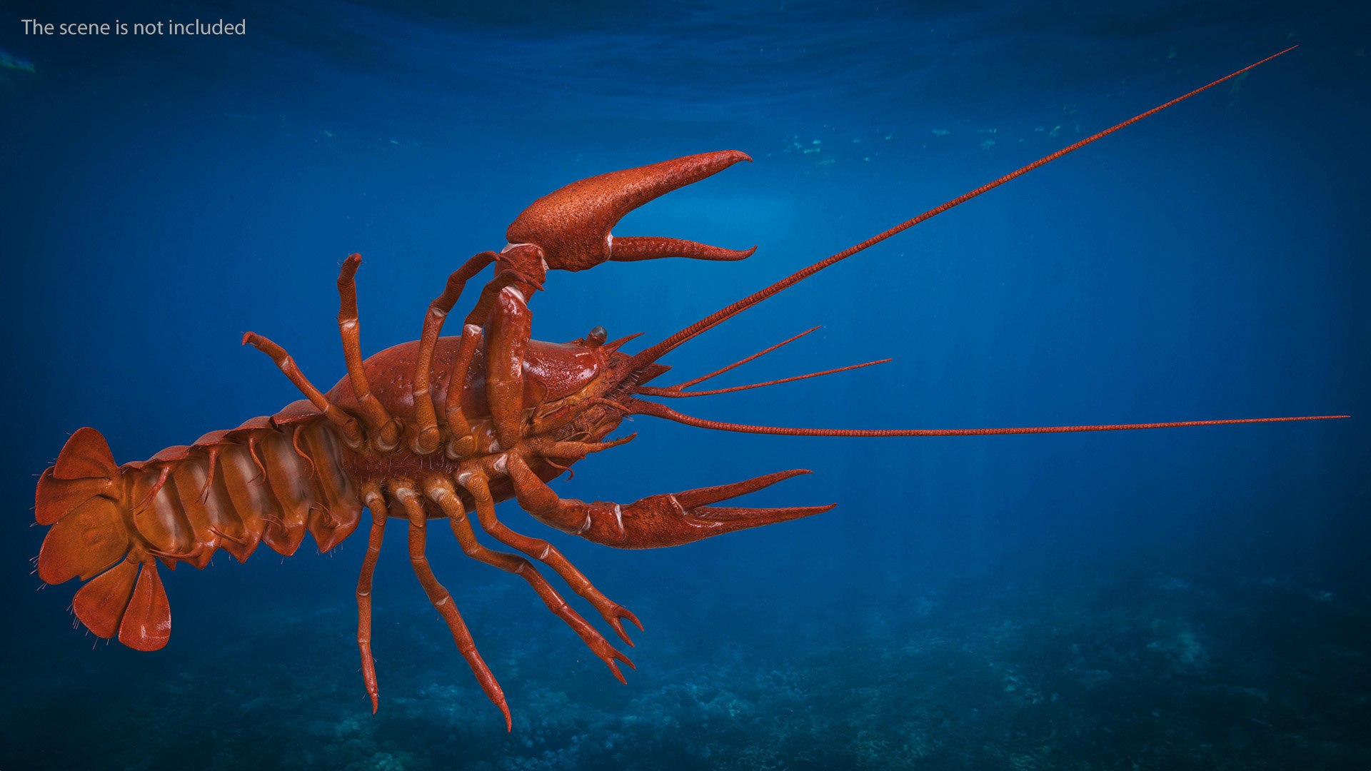 Crawfish Boiled Rigged 3D - TurboSquid 2163519