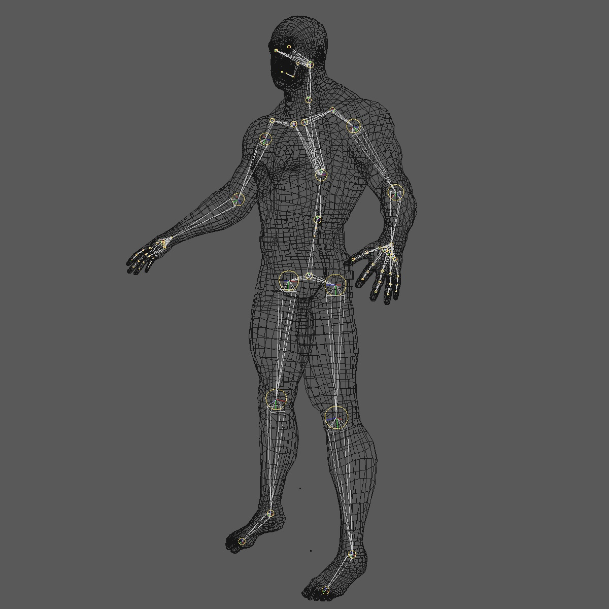 3d realistic african man rigged model
